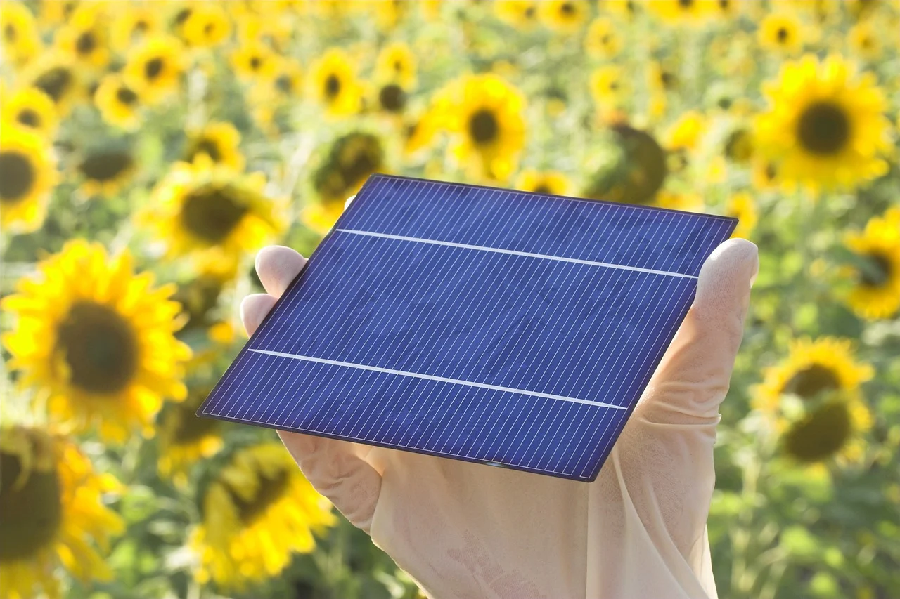 How to Encapsulate a Solar Cell - Sunvival Guide